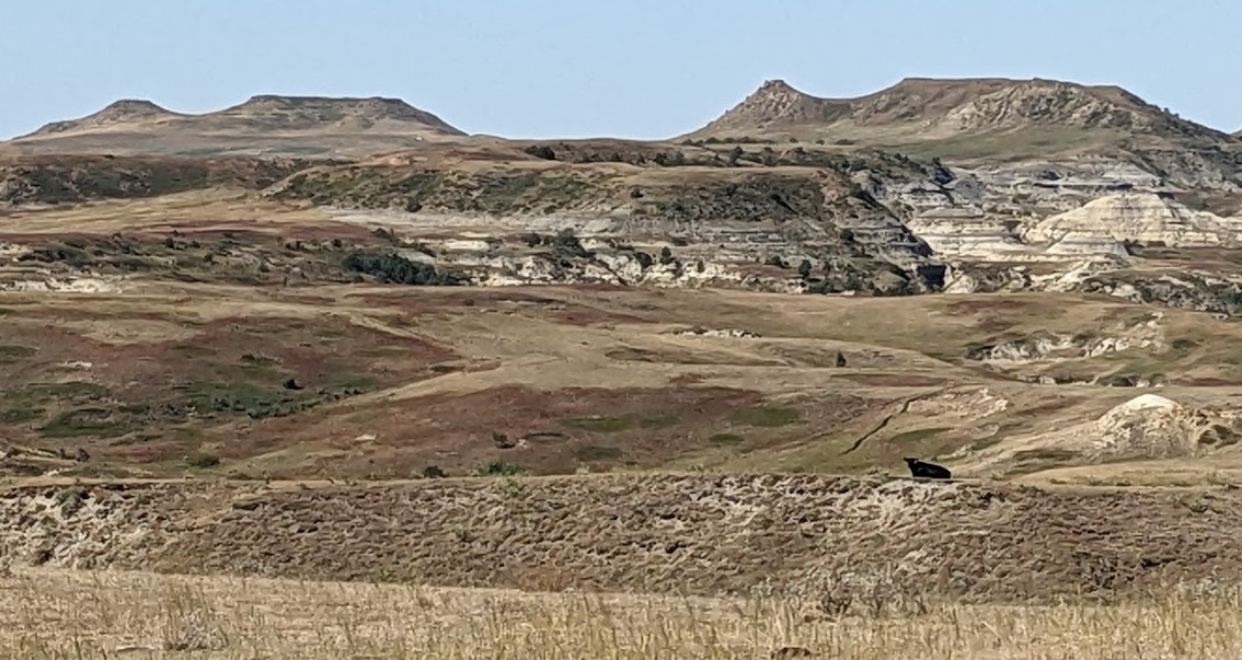 Twin Buttes: Wilderness, and Maybe a Few Sharptails – The Prairie Blog