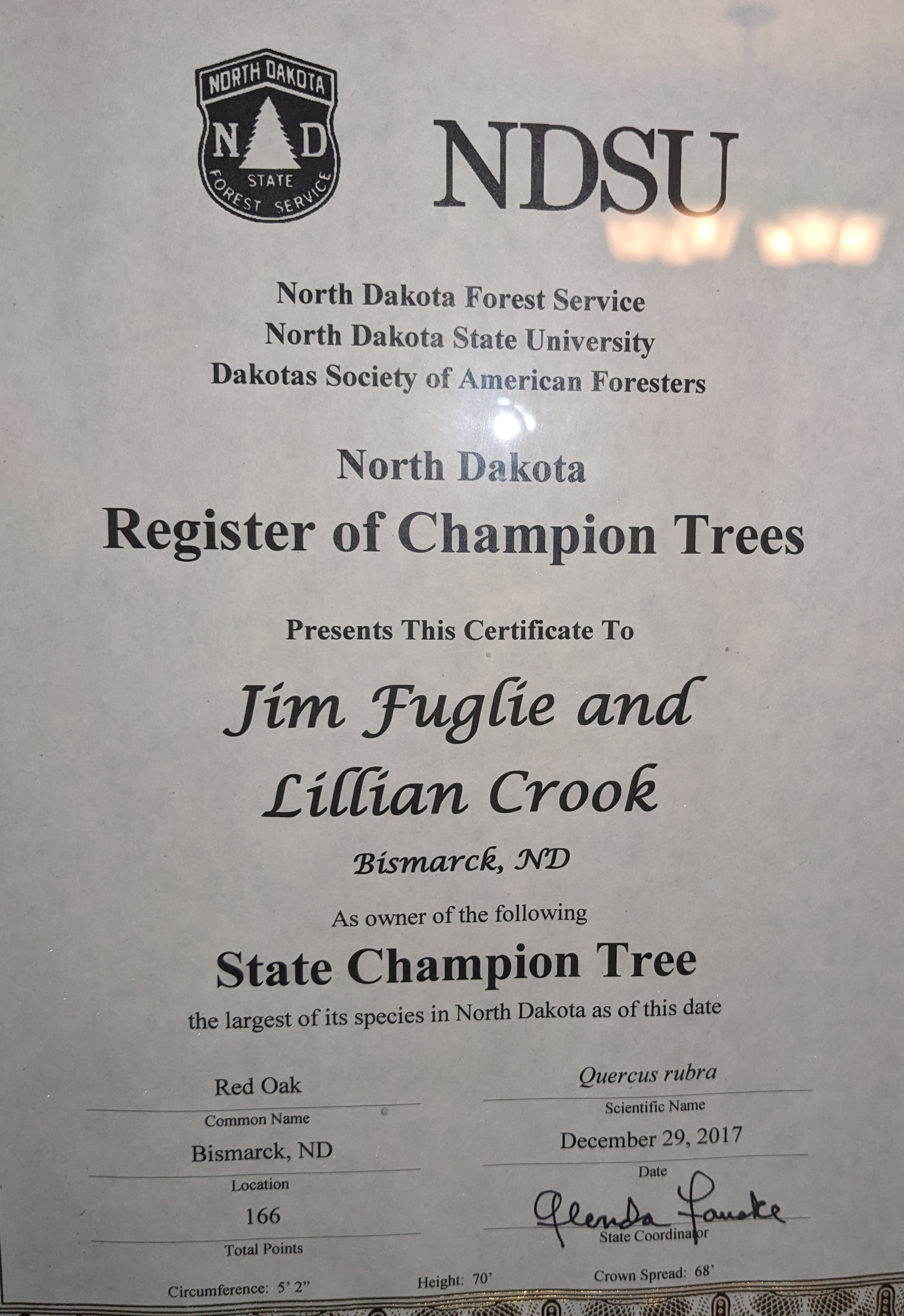 Our 2025 Christmas Letter – The Prairie Blog